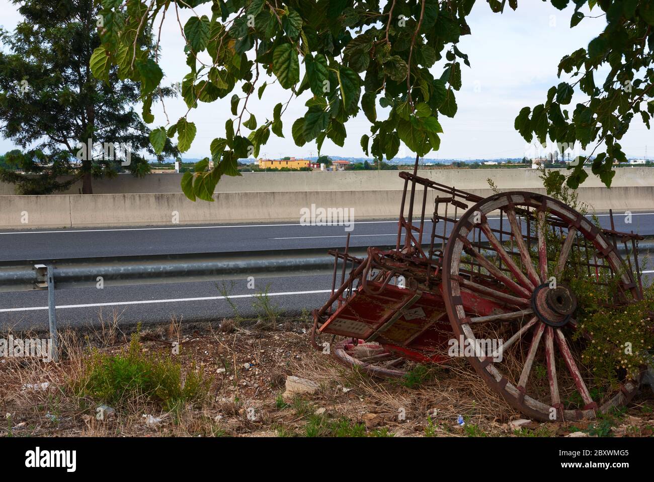 Destroyed horse hi-res stock photography and images - Alamy
