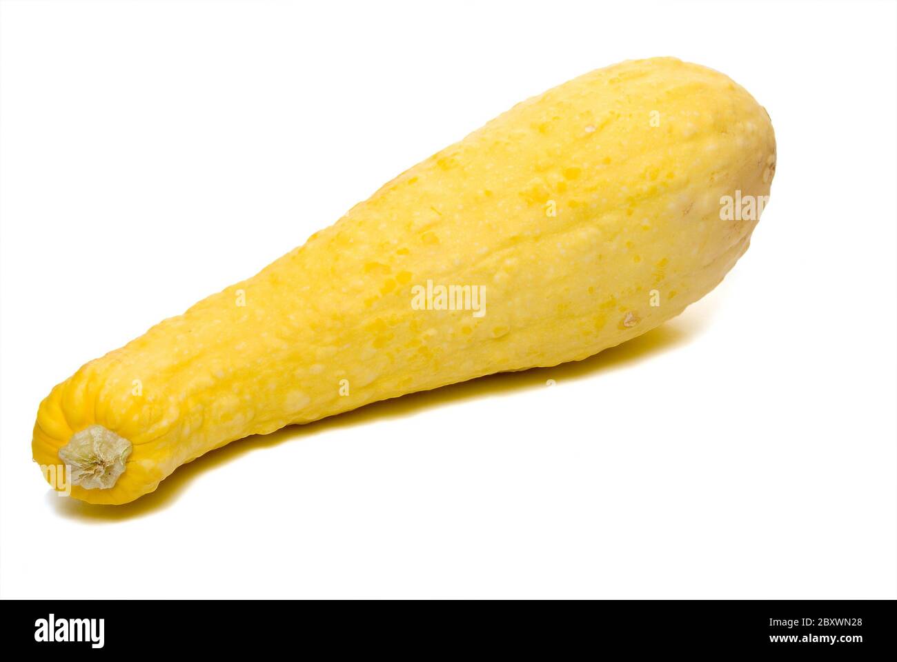 Yellow squash hi-res stock photography and images - Alamy