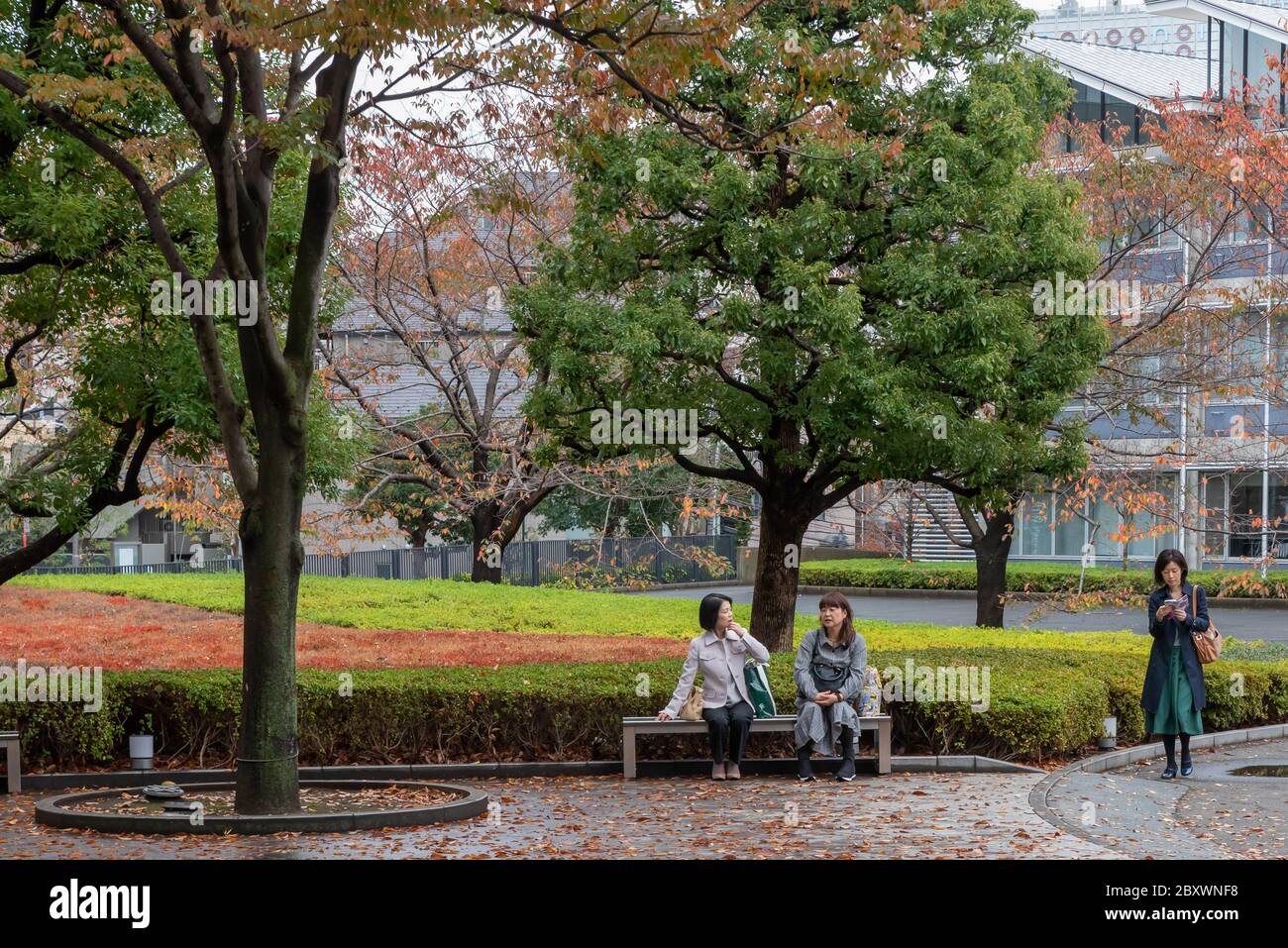 Well manicured yard hi-res stock photography and images - Alamy