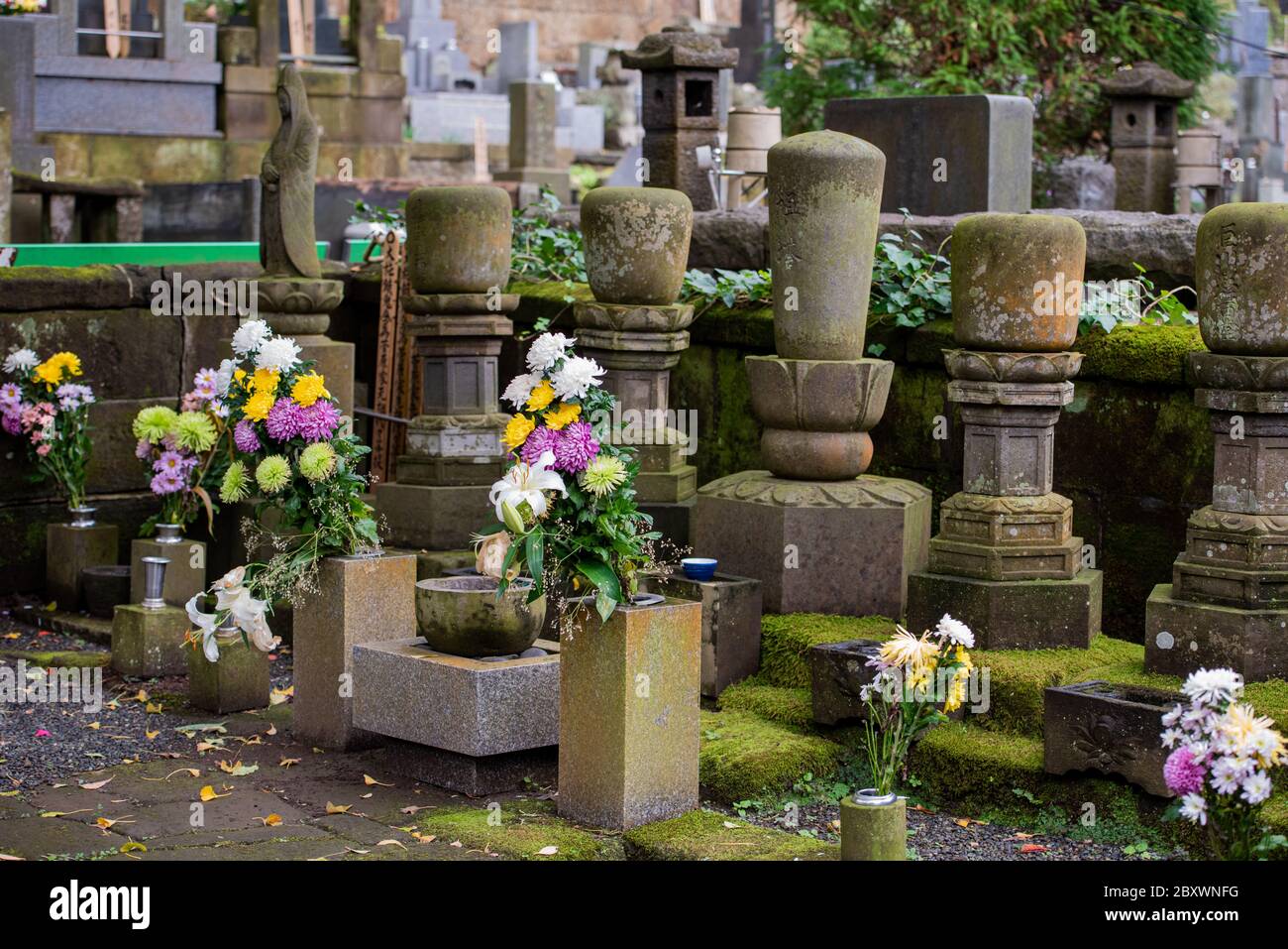 A cemetery behind the Hokokuji temple in Kamakura, Japan Stock Photo ...