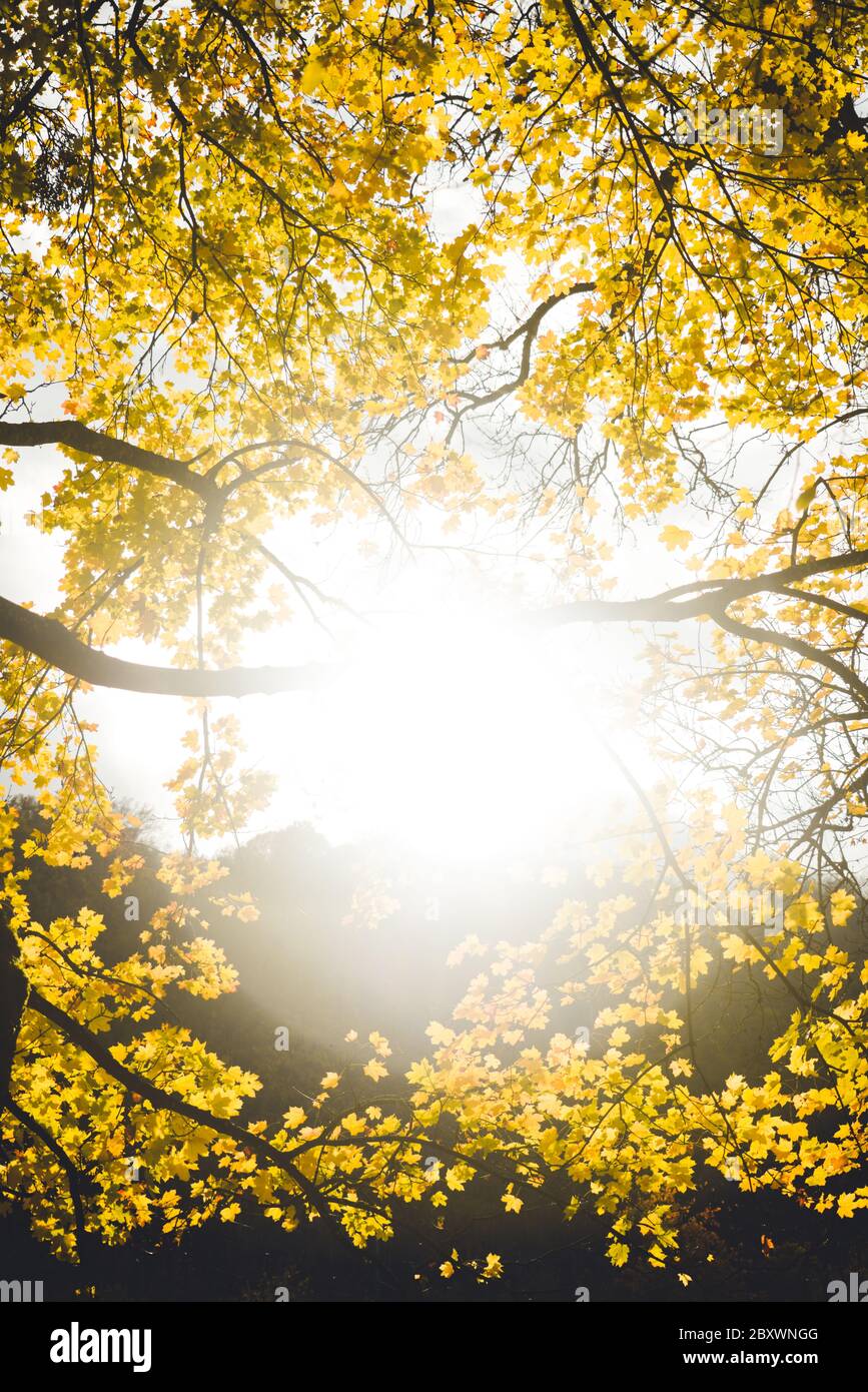 Morning sunshine in October Stock Photo - Alamy