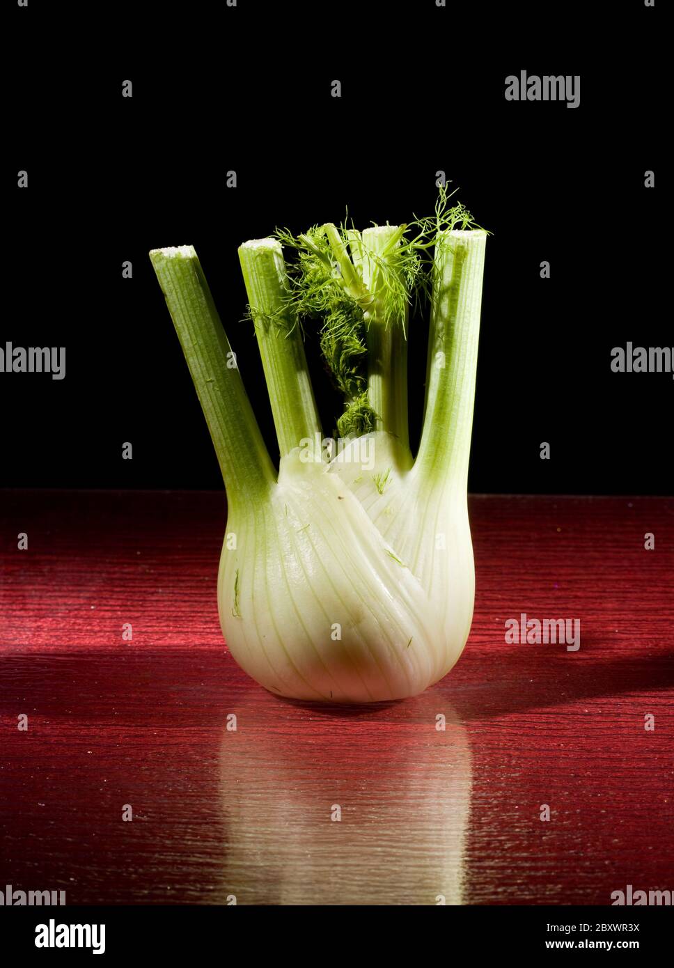 Cabbage and fennel hi-res stock photography and images - Alamy
