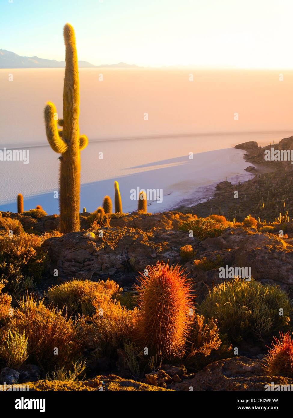 Uyuni salt plains hi-res stock photography and images - Alamy