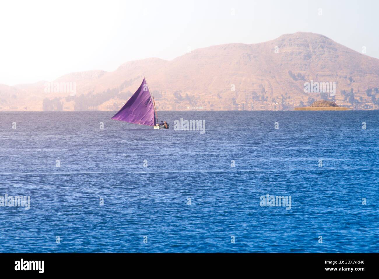 Traditional small sailing boat with triangle violet sail on Titicaca ...