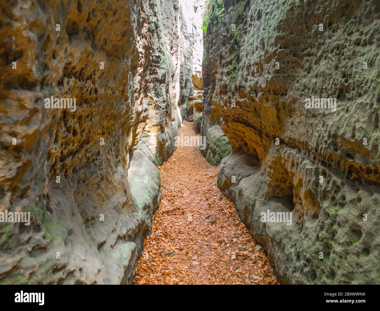 Deep narrow gorge hi-res stock photography and images - Alamy