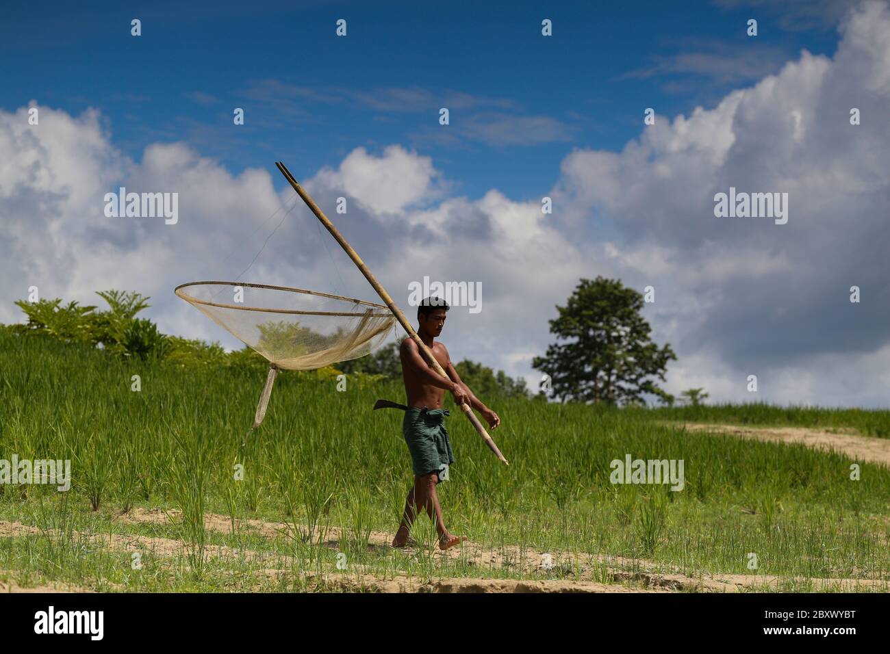 An indigenous man with his net going to the Sangu River to catch fish ...