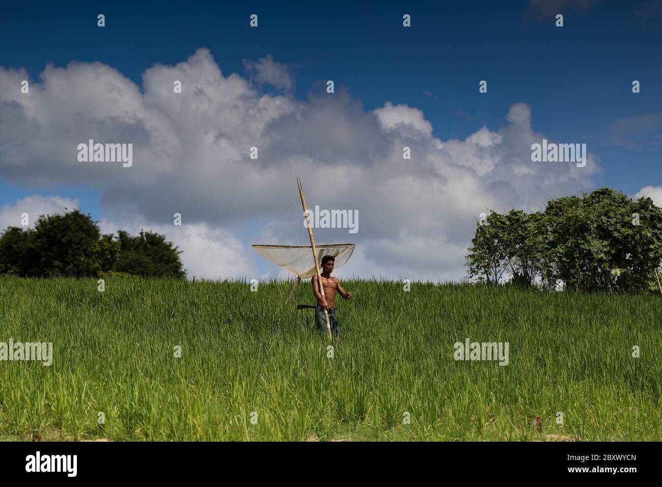 An indigenous man with his net going to the Sangu River to catch fish ...