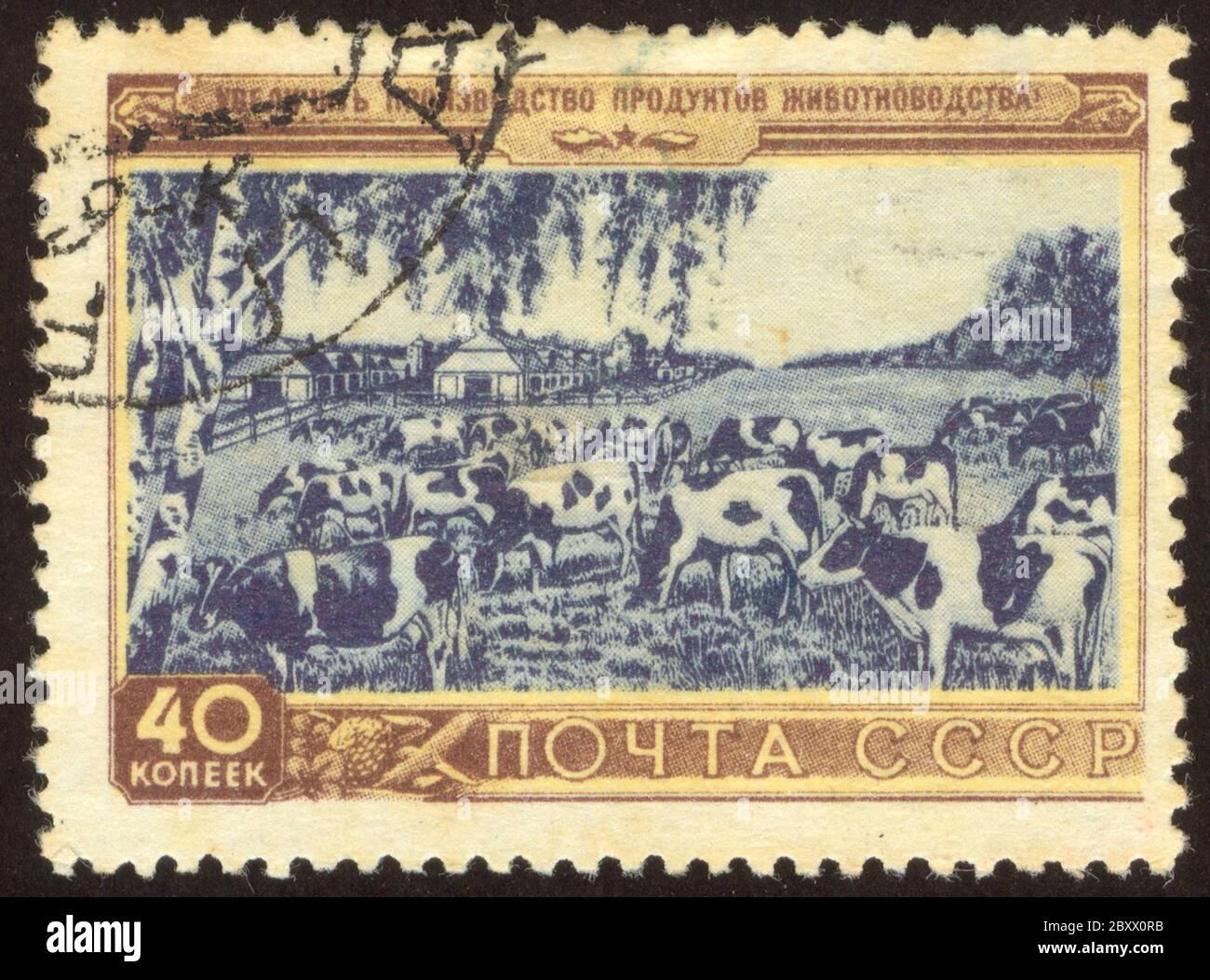 The scanned stamp. The Soviet stamp. Cows are grazed on a pasture Stock ...