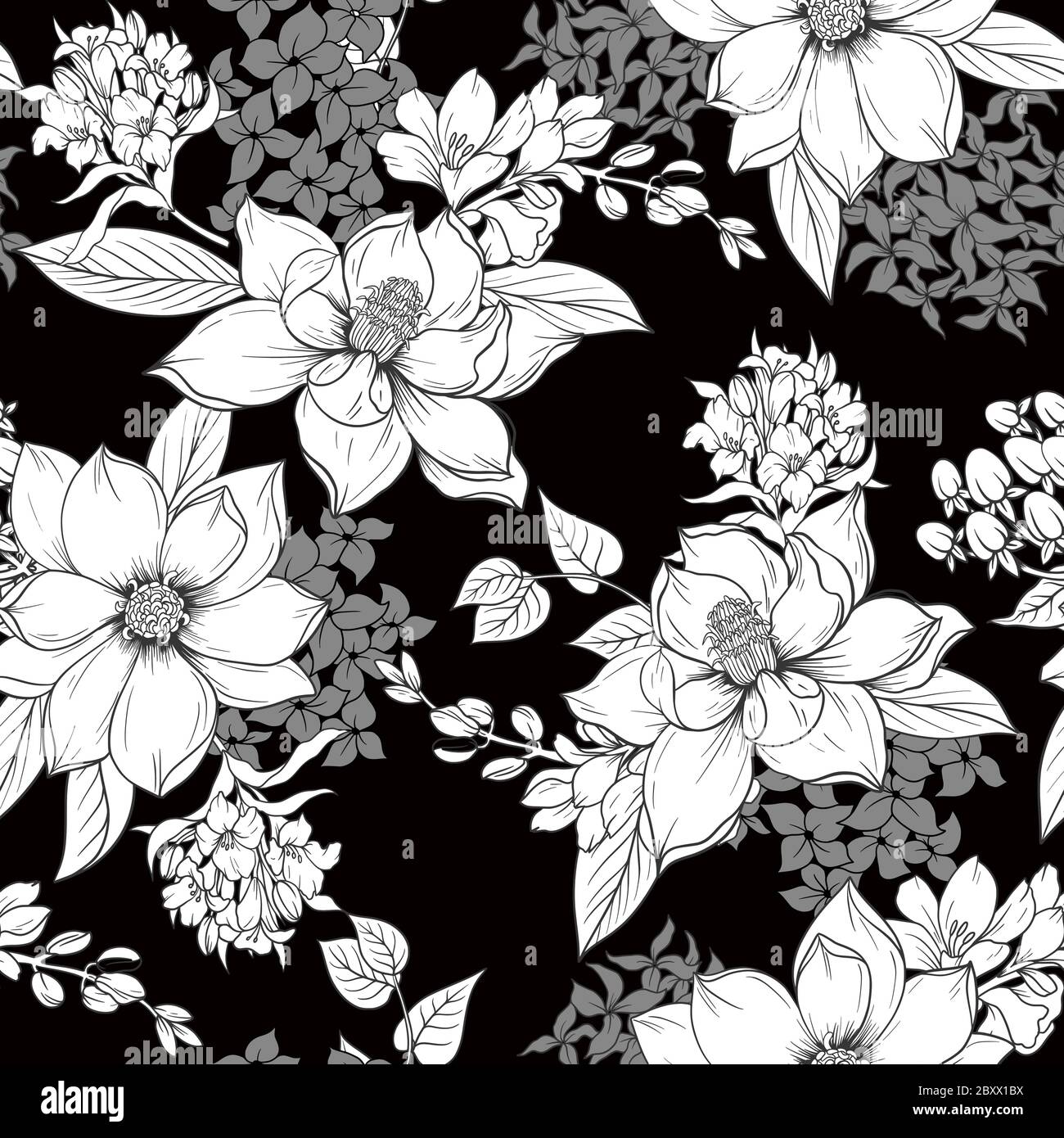 Black And White Floral Graphics