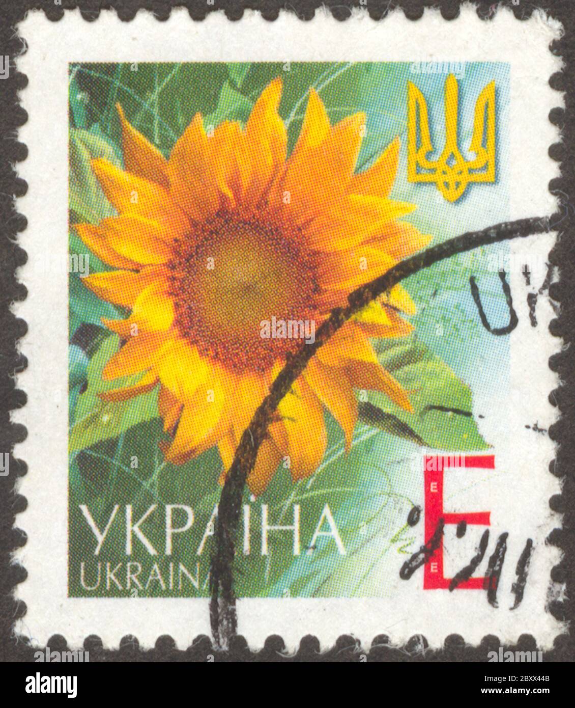 The scanned Ukraine stamp. Flower of a yellow Sunflower Stock Photo - Alamy