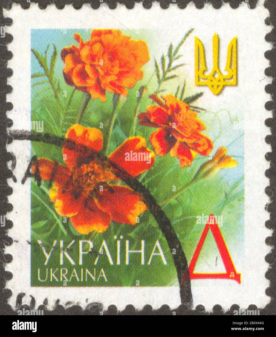 The scanned Ukraine stamp. Flower of a red poppy Stock Photo - Alamy