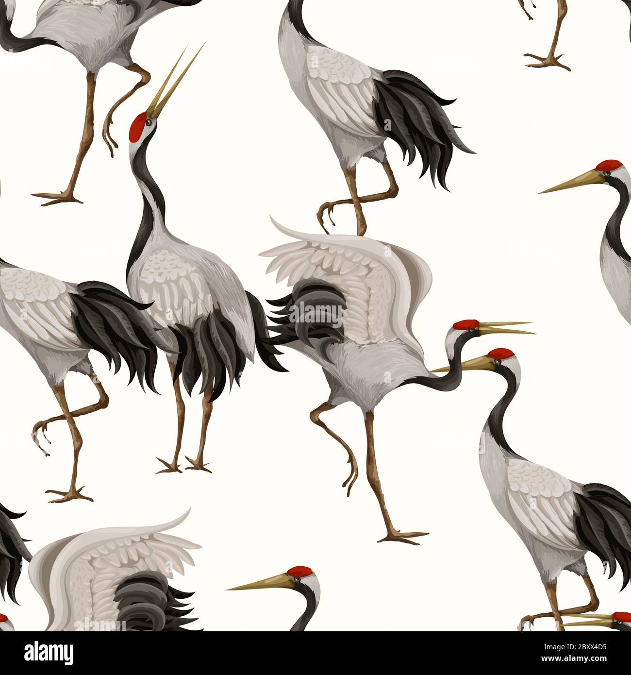 Japanese White Crane Bird