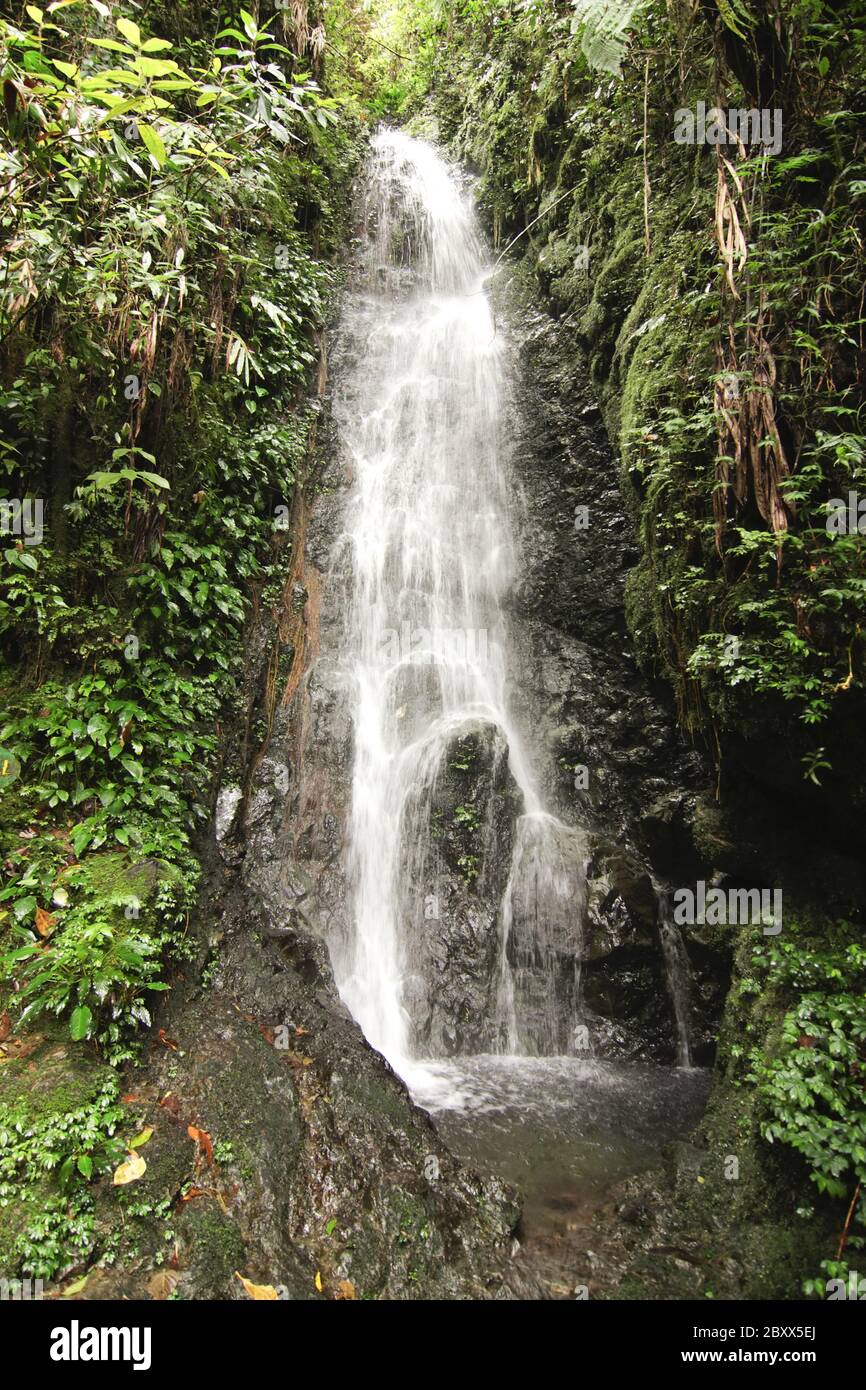 Carson Falls-Mt Kinabalu-Malaysia Stock Photo - Alamy