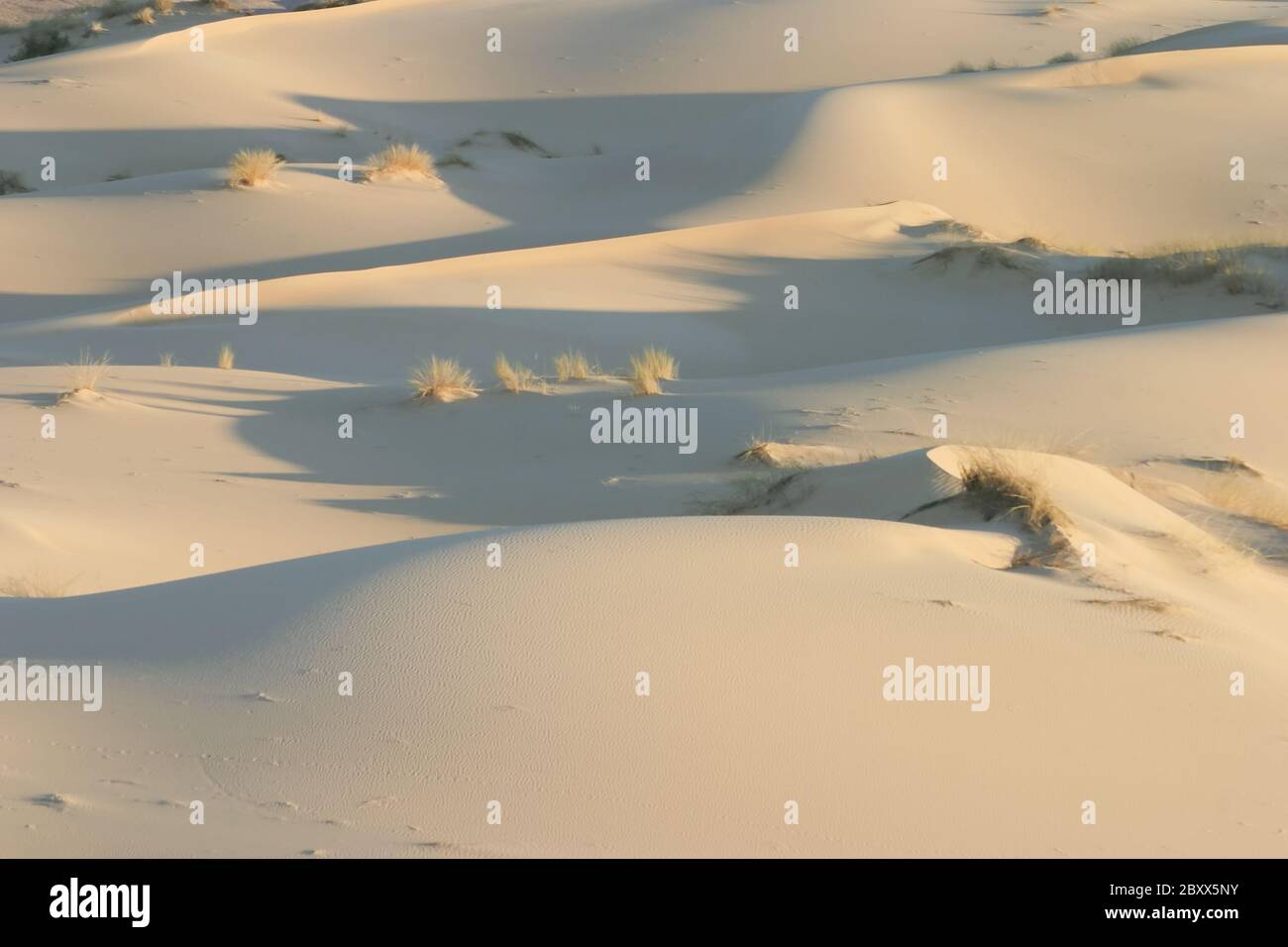 Witsand Nature Reserve-South Africa Stock Photo - Alamy