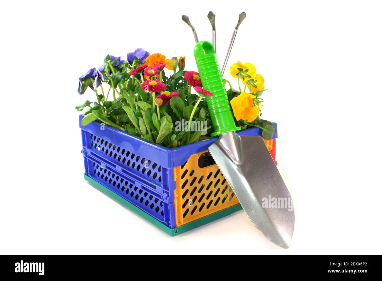 Balcony plants in a folding box Stock Photo - Alamy