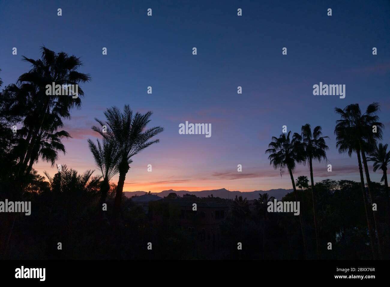 Sunrise with palm trees in Marrakech,Morocco Stock Photo - Alamy