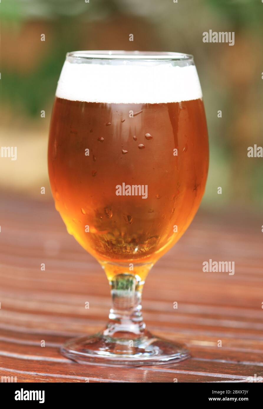 One glass of beer hi-res stock photography and images - Alamy
