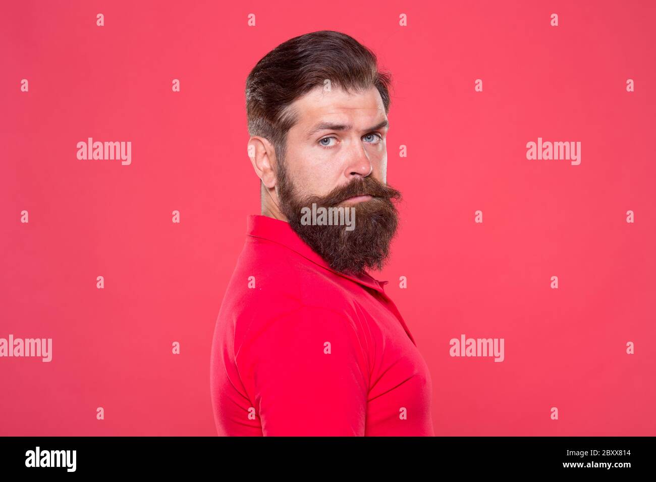 Hair cut for your beard shape. Bearded man red background. Brutal ...