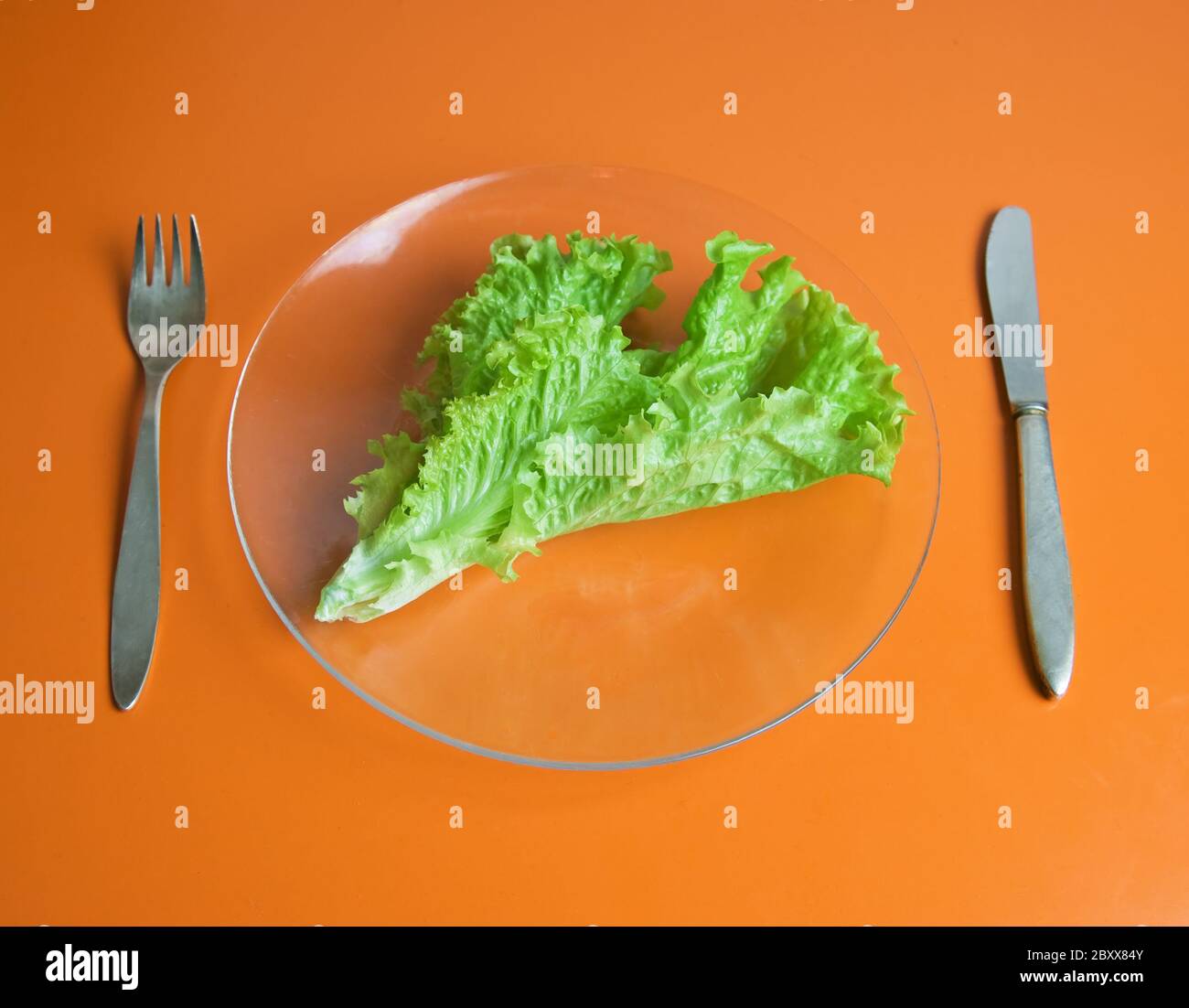 A lettuce leaf on a glass plate Stock Photo - Alamy