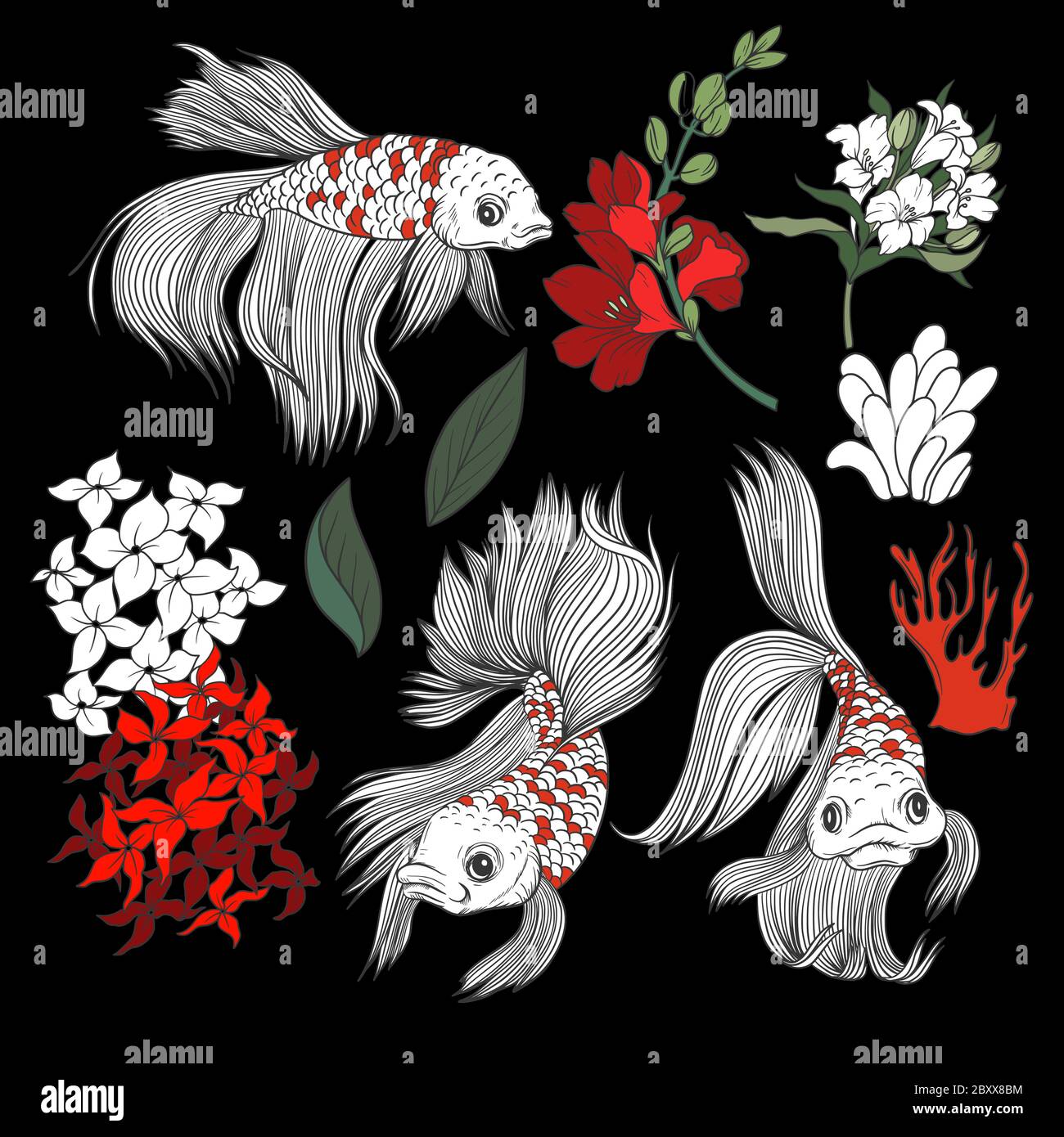 Fish and flowers in graphic style isolated. Vector Stock Vector Image ...