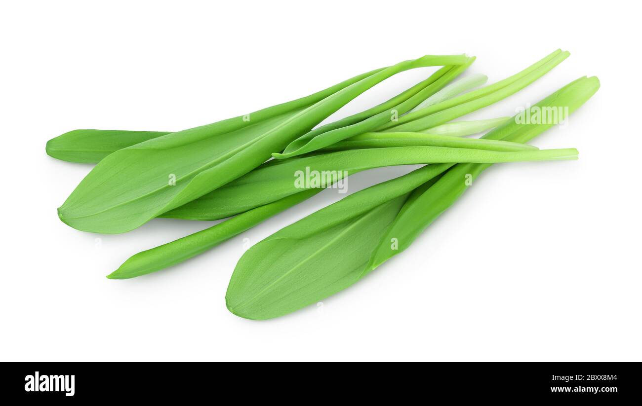 Ramson bunch vegetable isolated on white background with clipping path ...