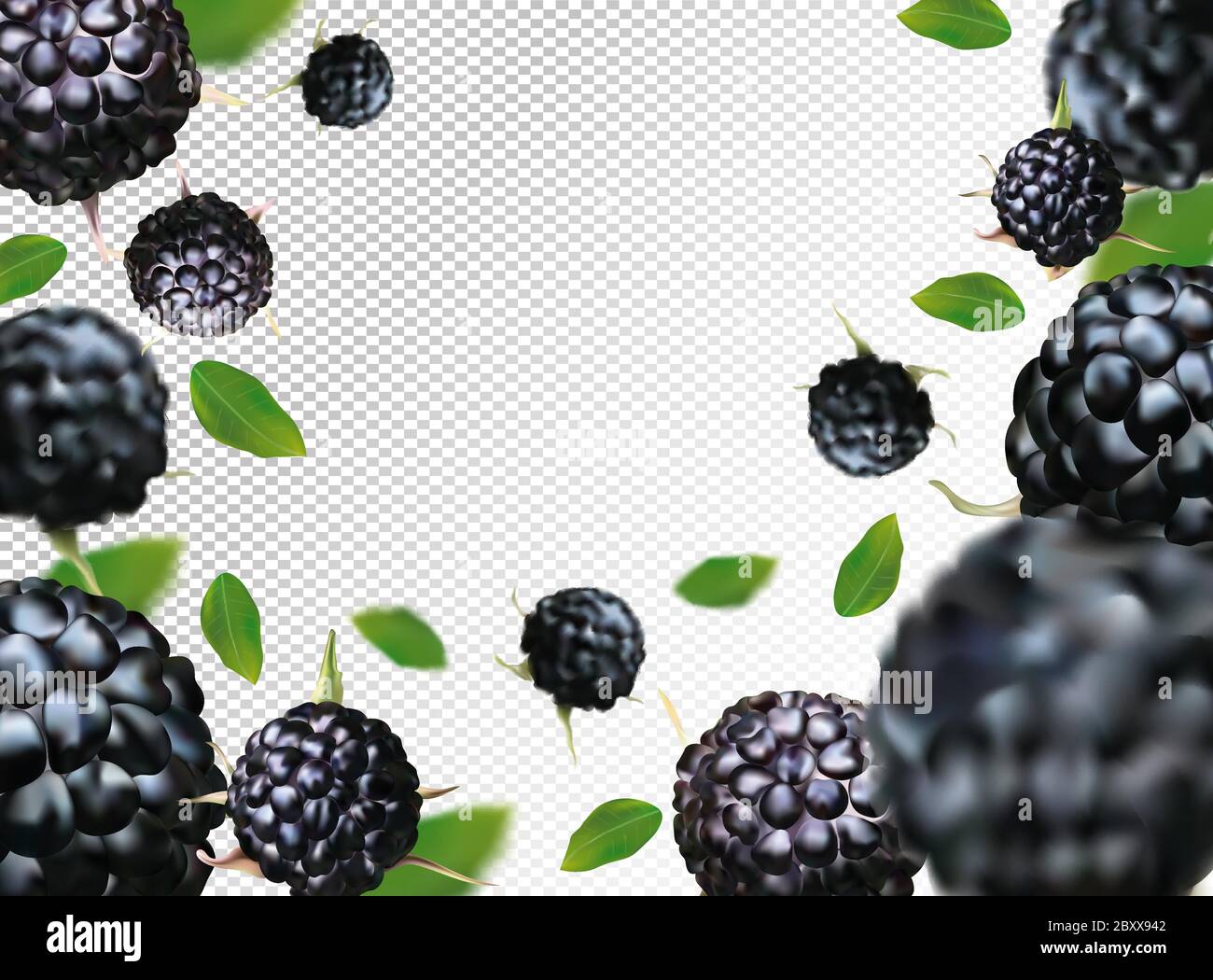 Black raspberry background. Flying black raspberry with green leaf on ...