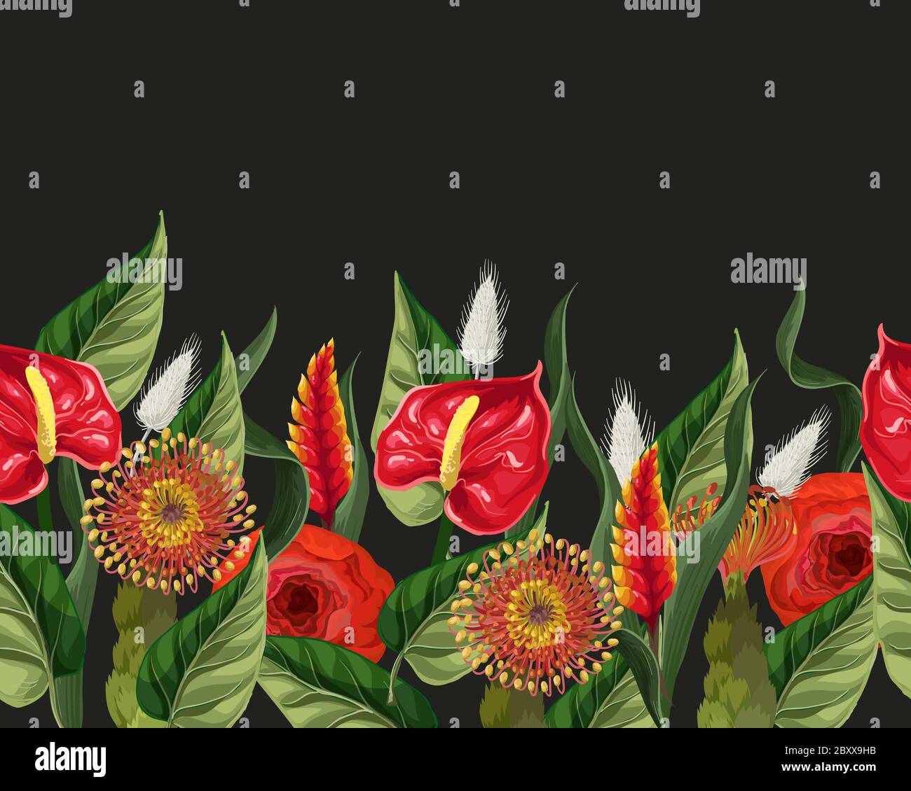Border with anthuriums and tropical leaves. Vector Stock Vector Image ...