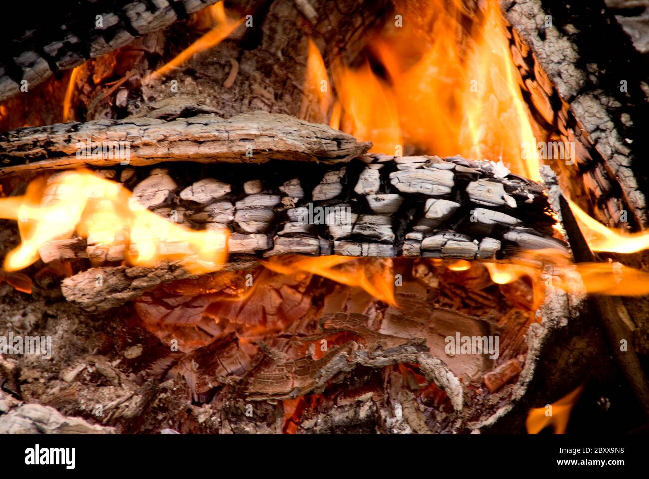 Campfire of boy scouts hi-res stock photography and images - Alamy