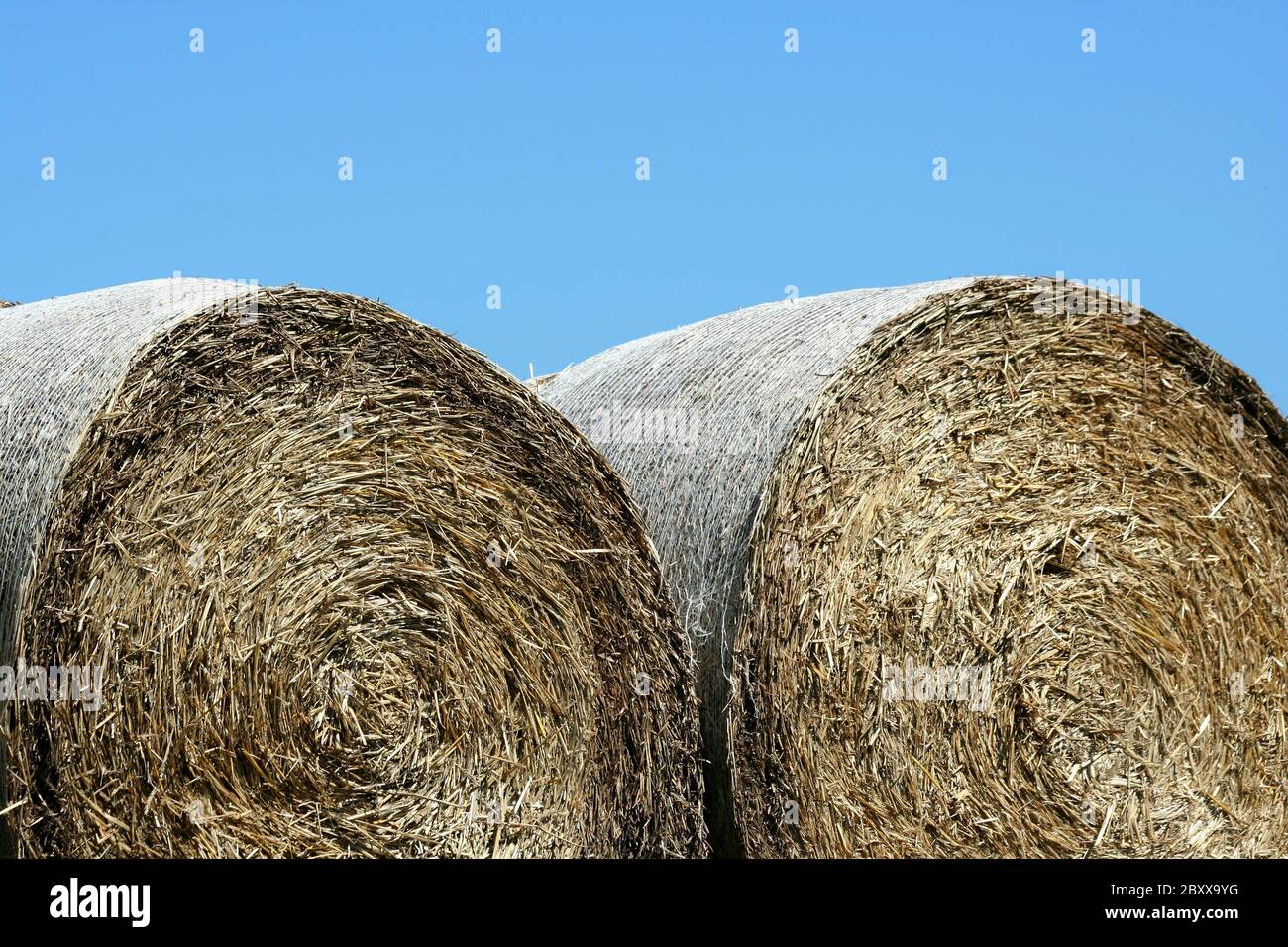 Round hay rolls hi-res stock photography and images - Alamy