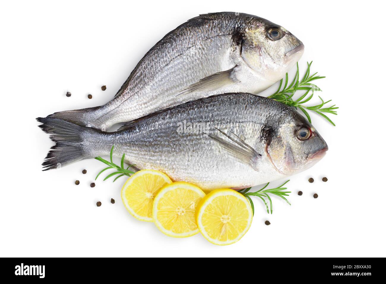 Fish dorado isolated on white background with clipping path and full ...