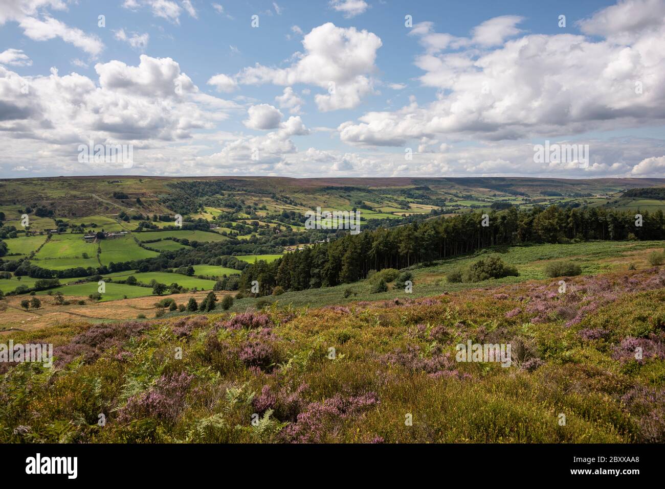 Rosedale, North Yorkshire, UK Stock Photo - Alamy