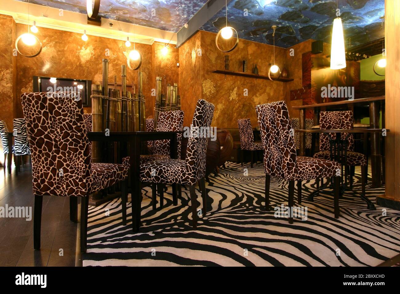 Cafe zebra hi-res stock photography and images - Alamy