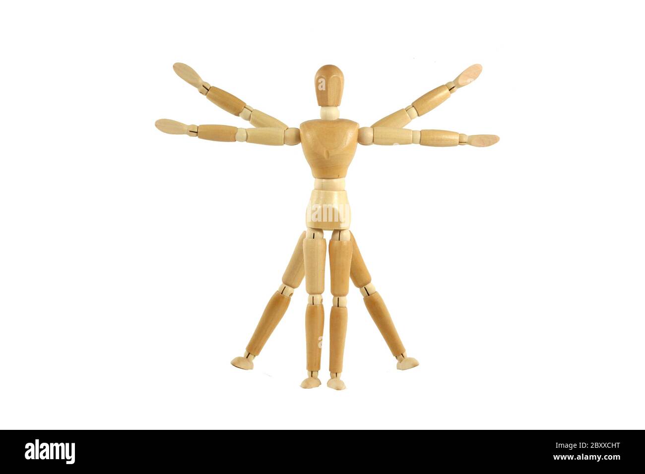 Vitruvian man anatomy hi-res stock photography and images - Alamy