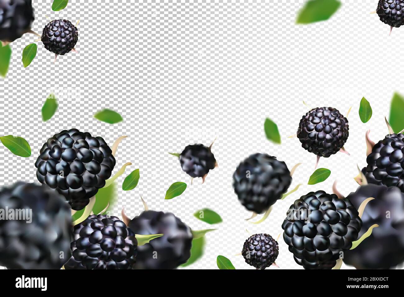 Black raspberry background. Flying black raspberry with green leaf on ...