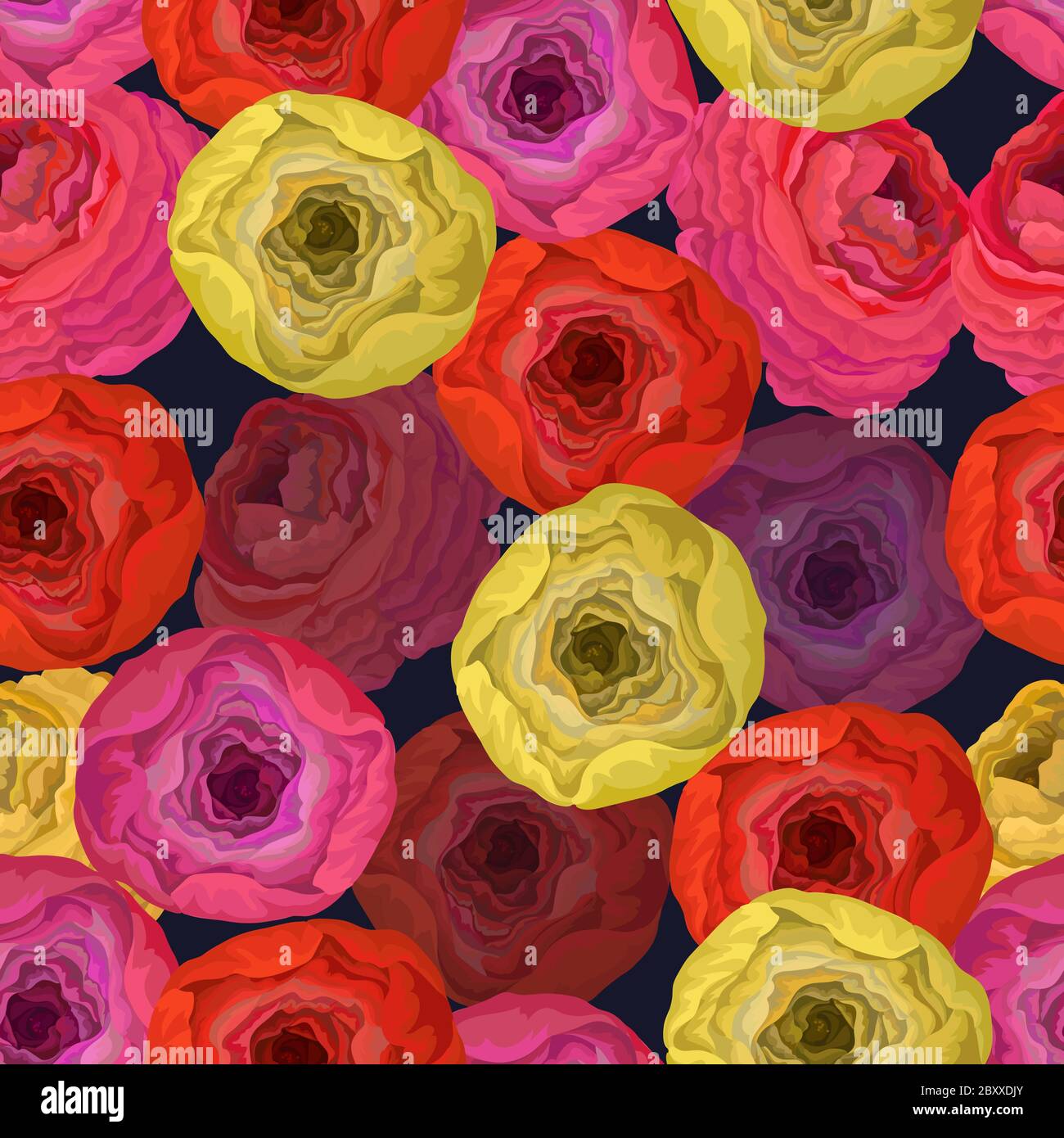 Seamless pattern with vivid ranunculus. Vector Stock Vector Image & Art ...