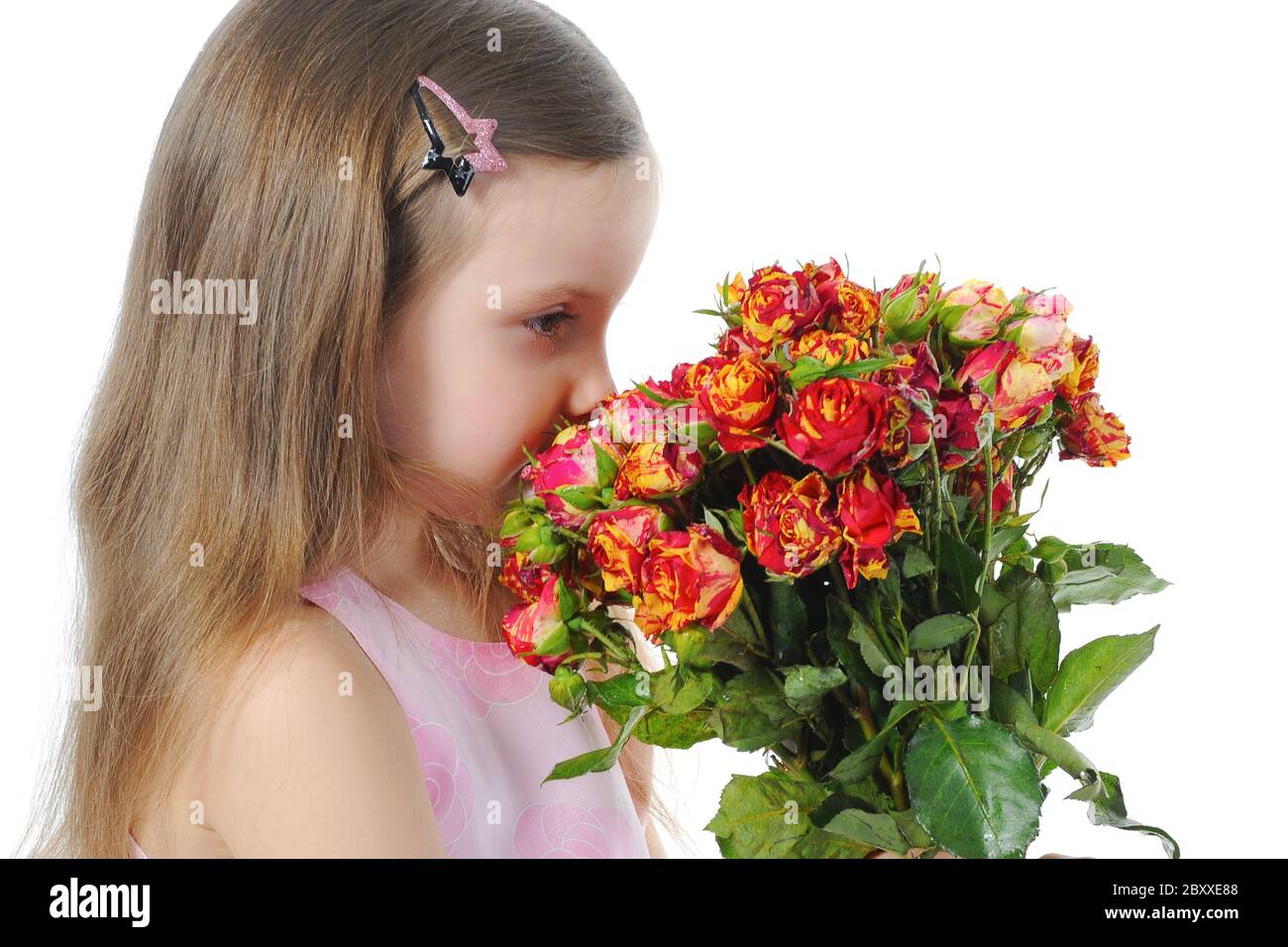 little girl with a rose Stock Photo - Alamy