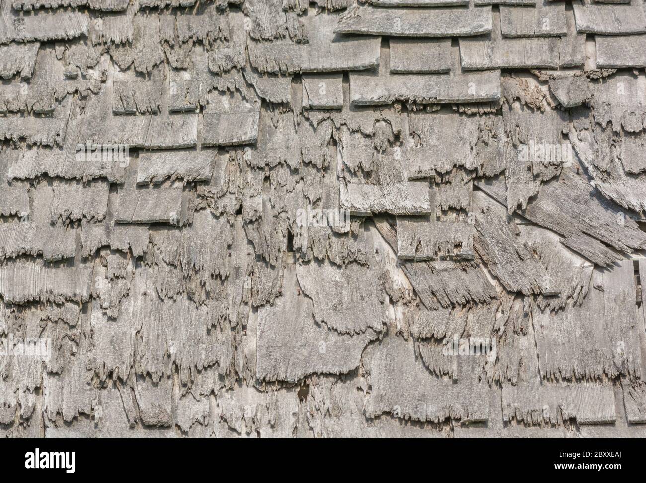 Wind and rain damaged old wood shingle / wood shake roof in poor repair ...