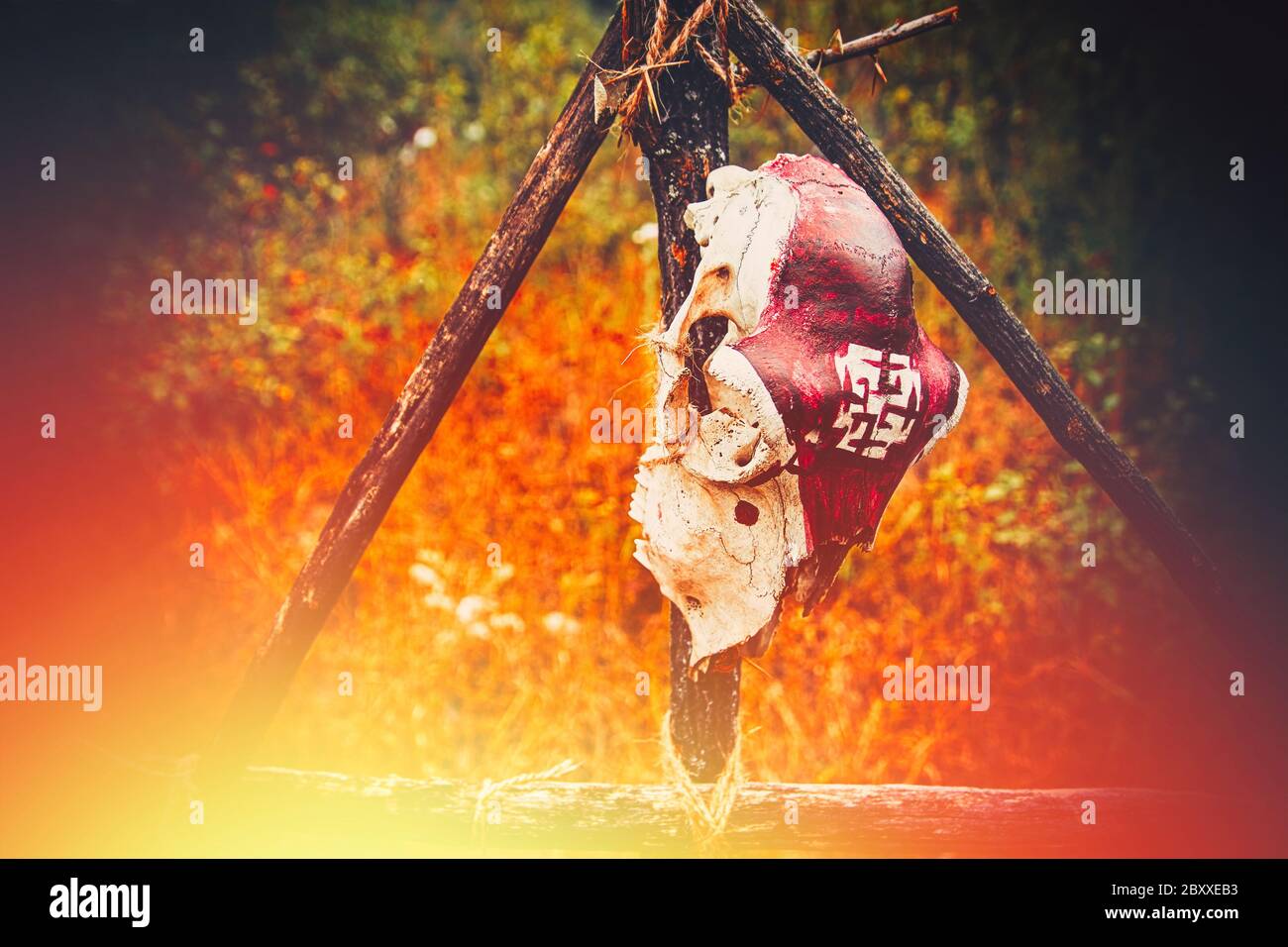 Red color painted animal scull on wooden triangle outdoor. Black magic ...