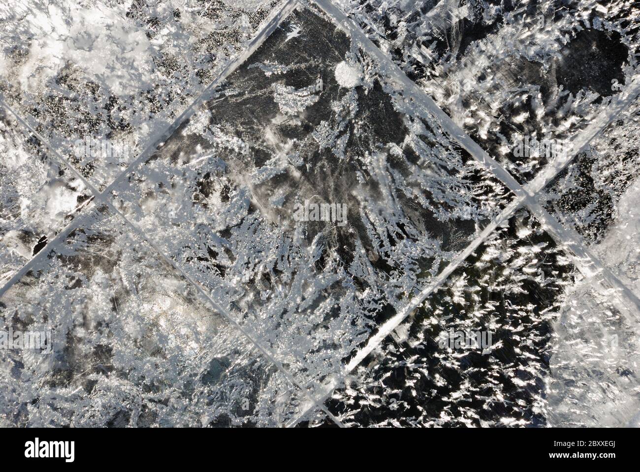 big translucent ice blocs in the sunshine: preparations for the ice ...