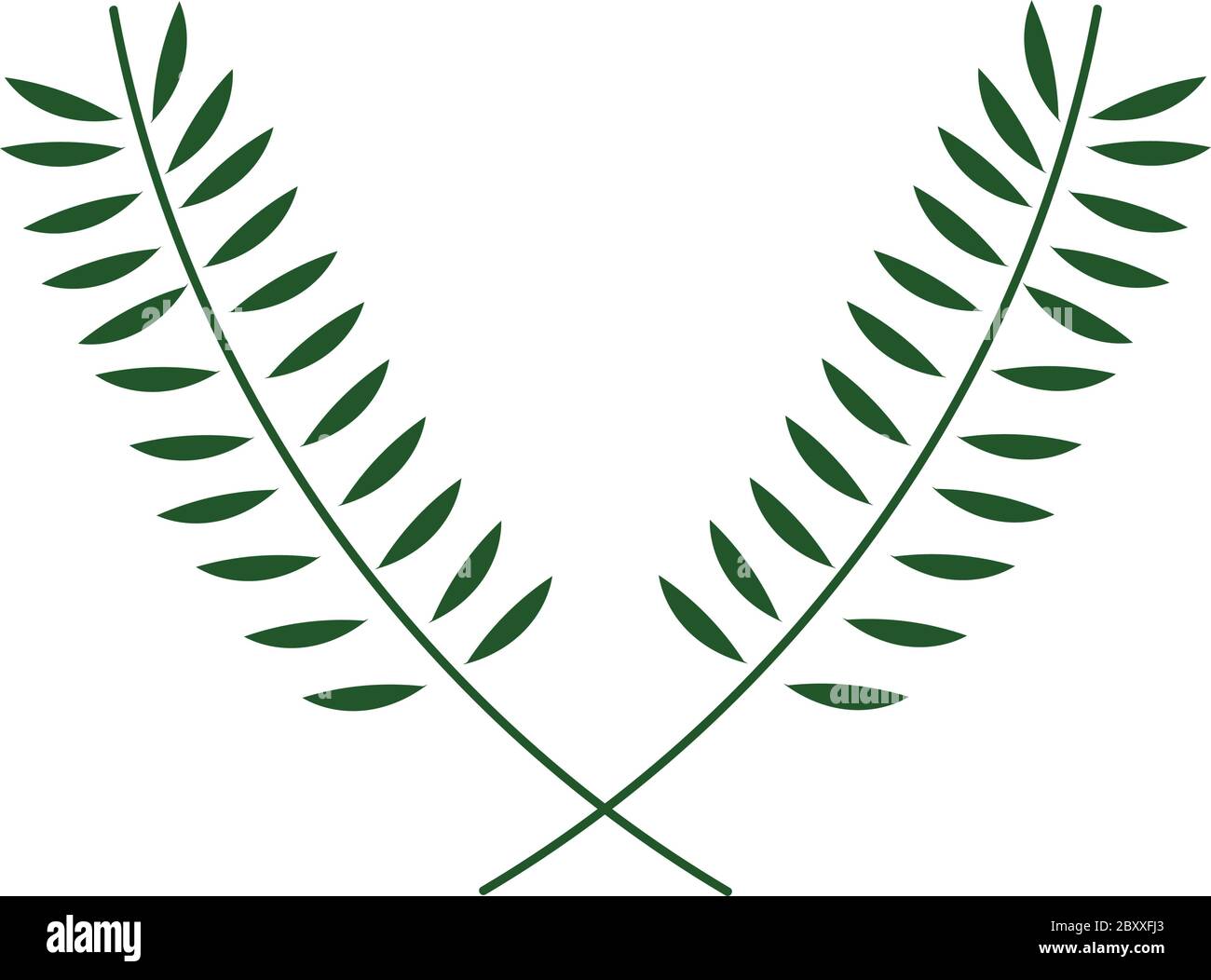 leaves foliage nature botanical isolated design icon vector ...
