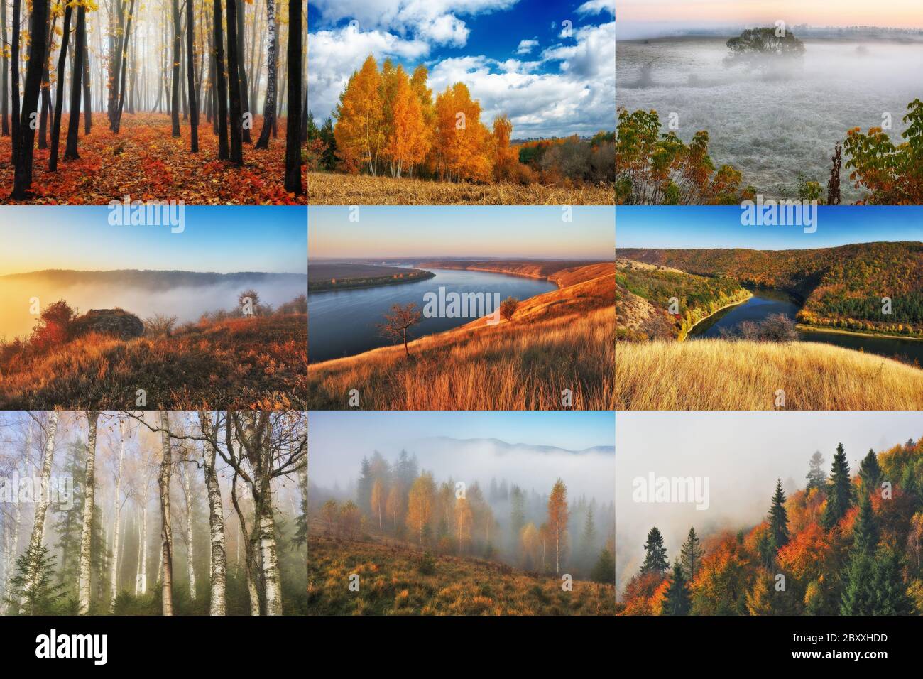 Autumn Collage. series of autumn landscapes Stock Photo - Alamy
