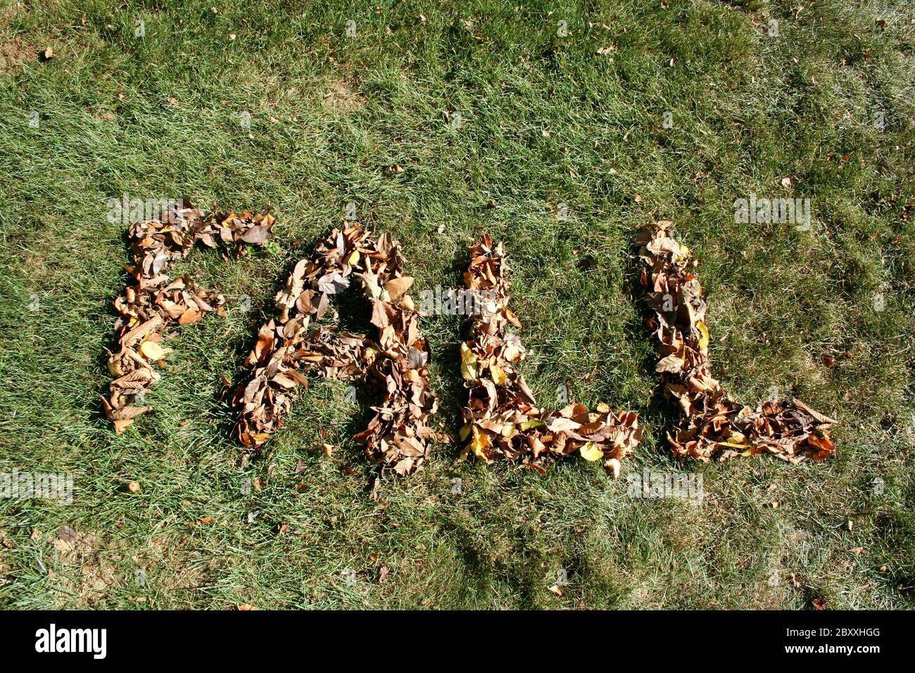 Leaves with word hi-res stock photography and images - Alamy