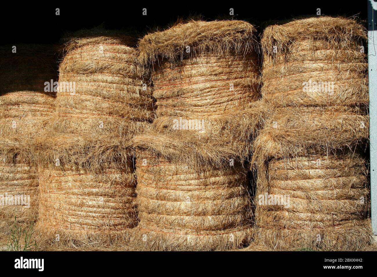 Stacked hay bails hi-res stock photography and images - Alamy