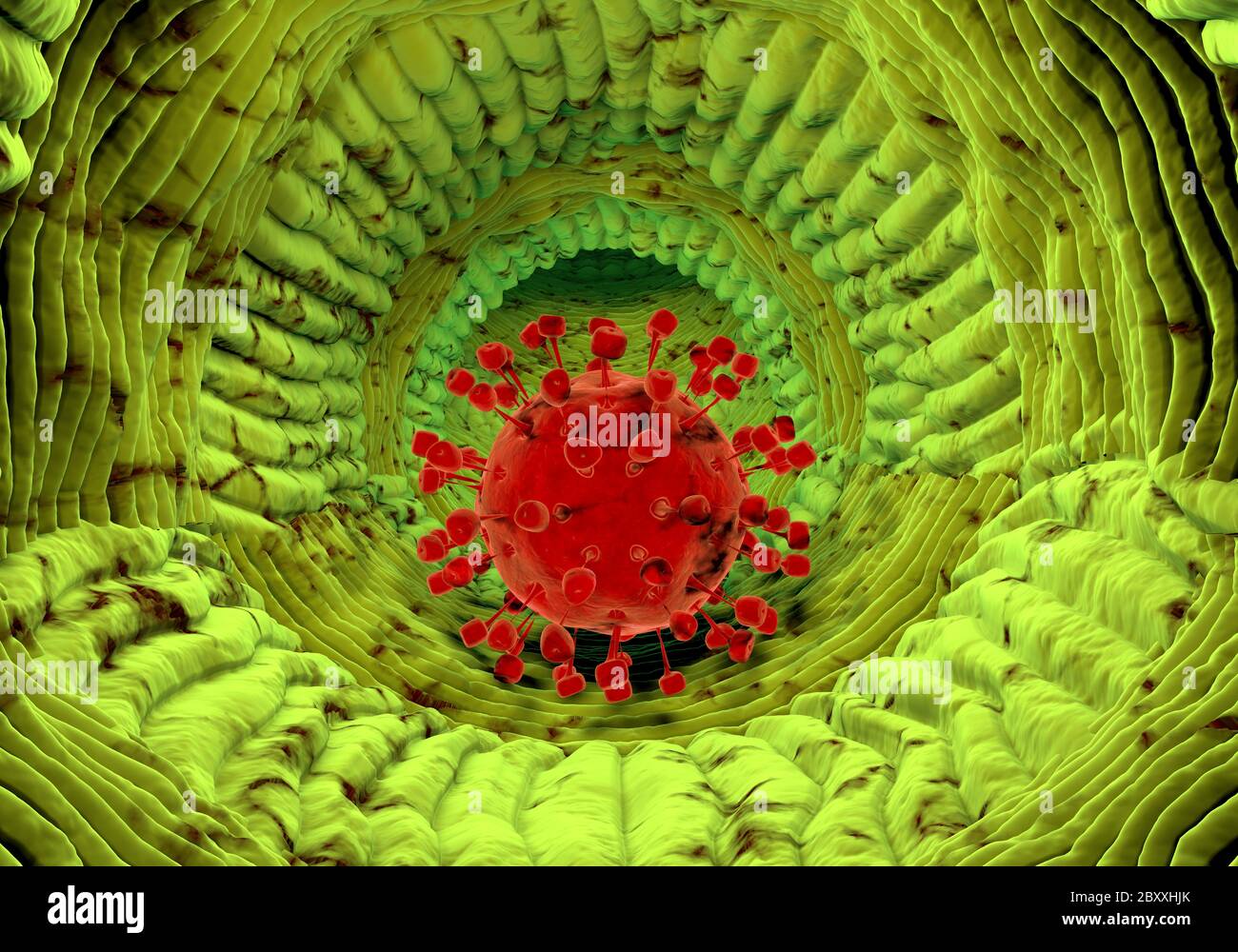 inside human organism view. Virus in . Organic anatomy structure. 3d ...