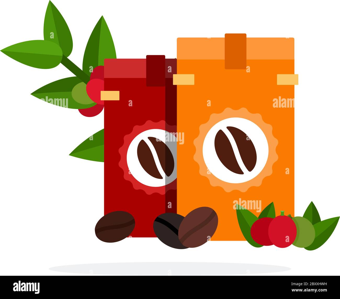 Different coffee roasting in packaging and coffee branch vector flat ...