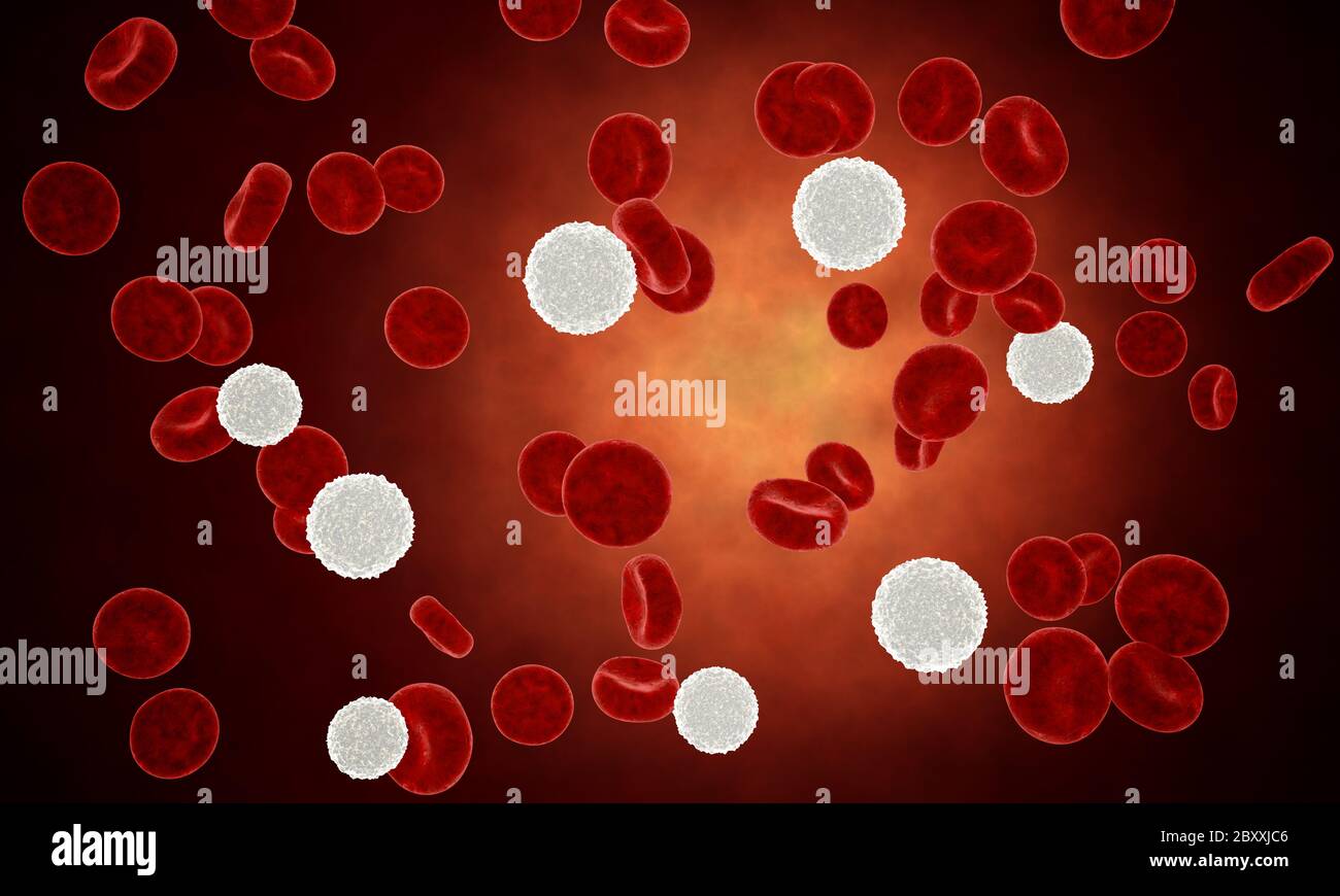 Erythrocyte, red blood cells, anatomy medical concept. 3d rendering ...