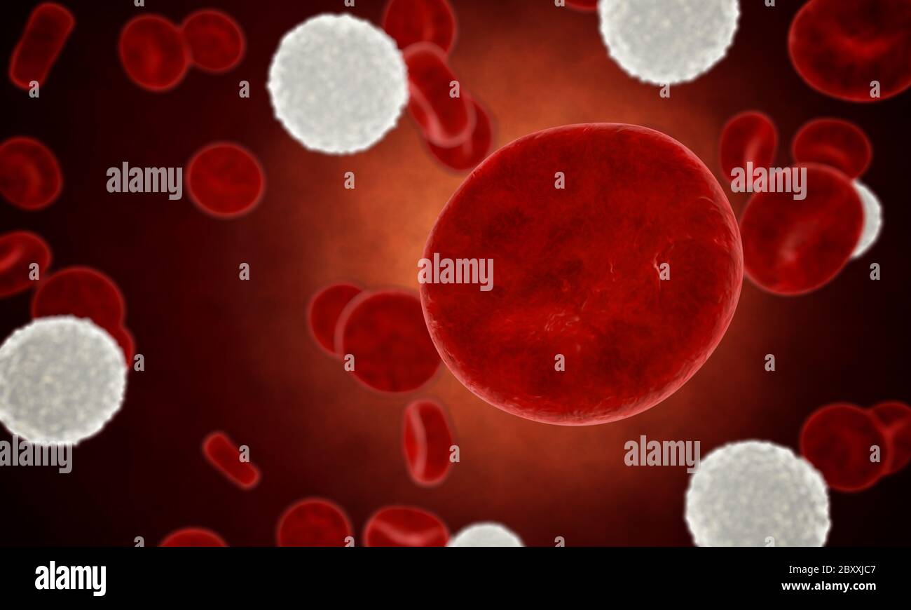 Erythrocyte, red blood cells, anatomy concept. 3d rendering Stock Photo ...