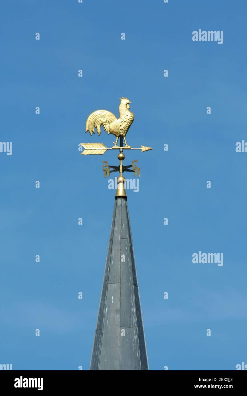 Chicken wind vane compass sky hi-res stock photography and images - Alamy