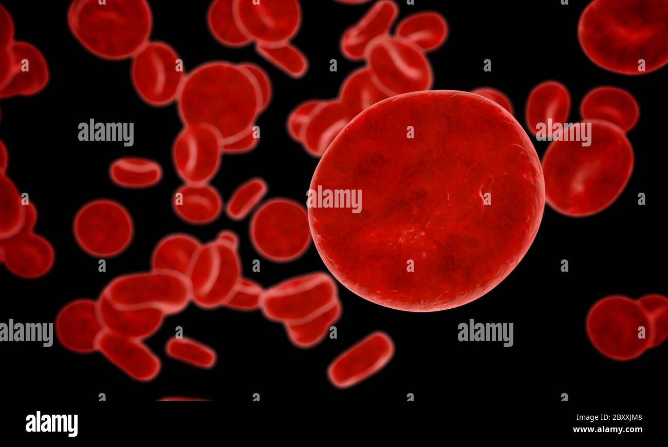 Erythrocyte, red blood cells, anatomy concept. 3d rendering Stock Photo ...