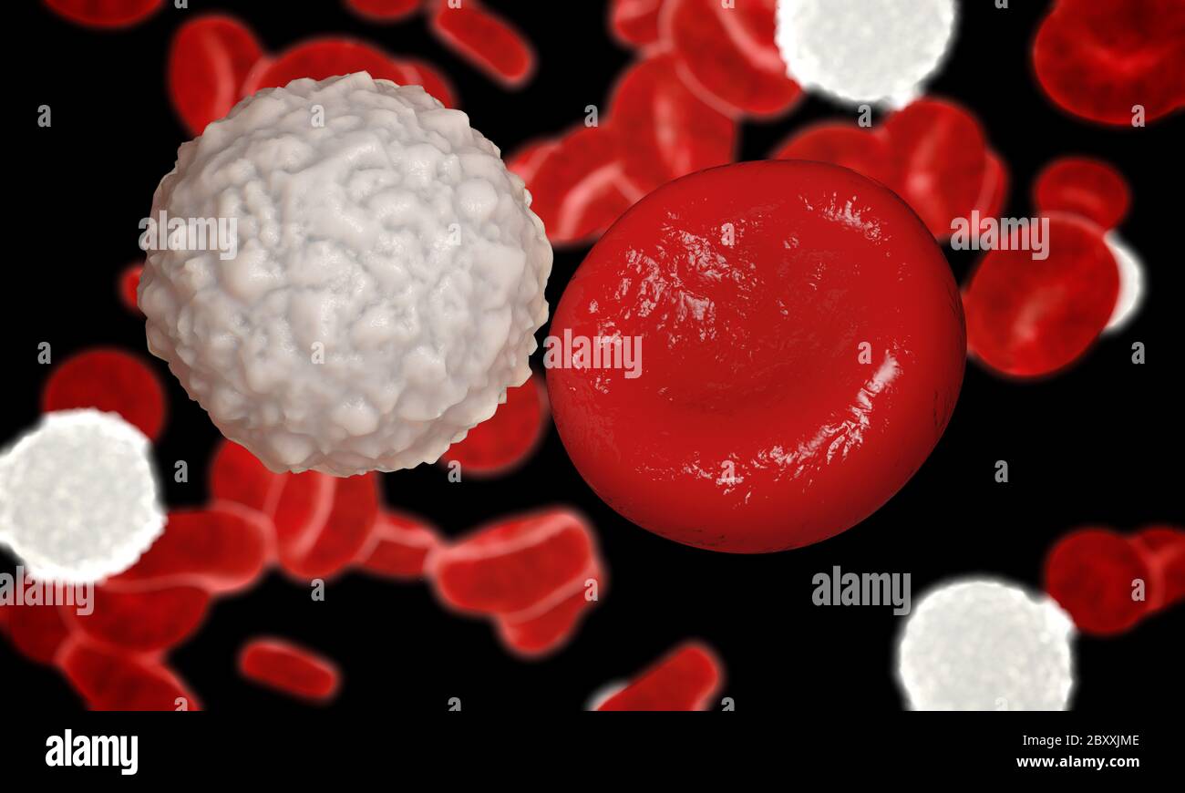 Erythrocyte, red blood cells, anatomy concept. 3d rendering Stock Photo ...